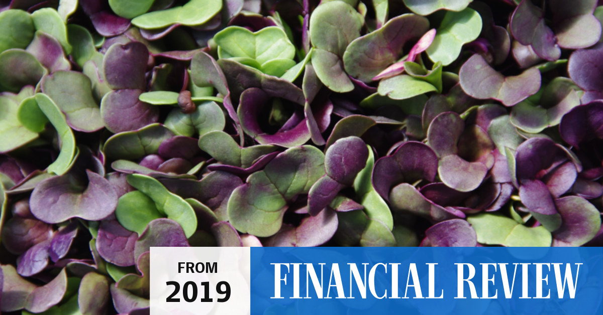 AFR BOSS Most Innovative Companies: Property, Construction & Transport