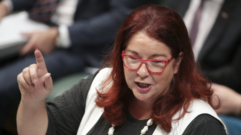 Two things that three women taking on the Libs have in common