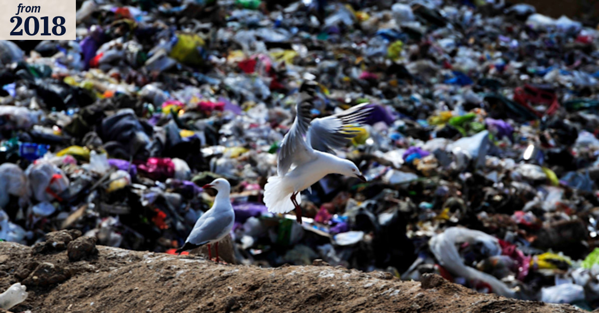 Fyshwick recycling plant to receive 900 tonnes of rubbish every a day