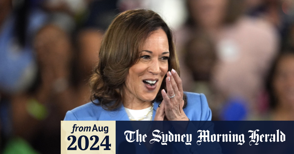 US election 2024: Kamala Harris unveils ambitious middle-class economic ...