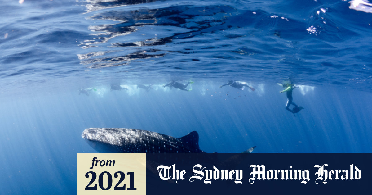 Australian scientists sound alarm on ecosystem collapse