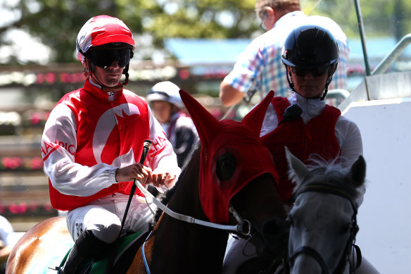 Racing 2024: Danielle Seib confident Denarau won’t make heavy going of ...