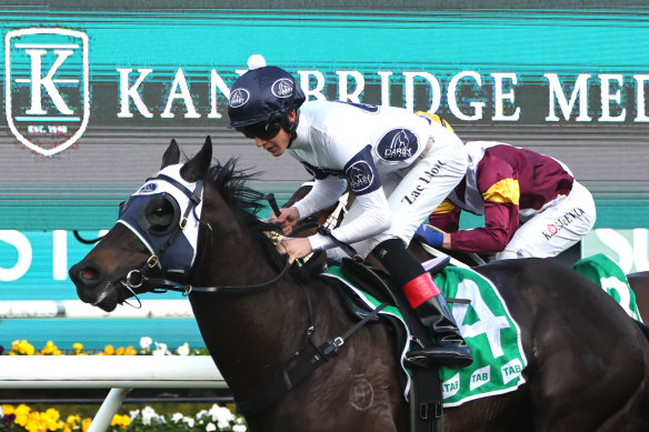 Race-by-race preview and tips for Kembla Grange on Saturday
