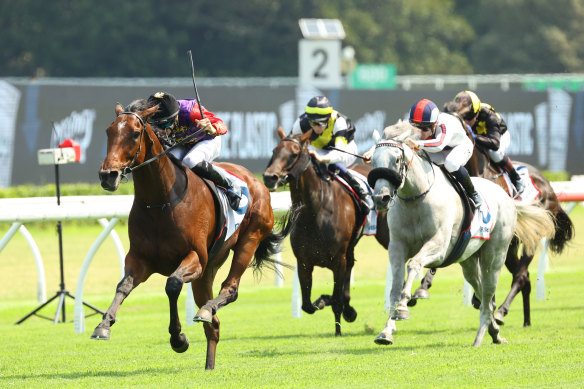 Race-by-race preview and tips for Saturday meeting at Rosehill
