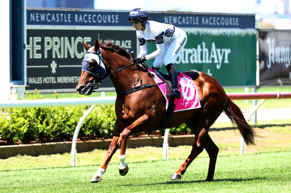 Wyong apprentice Anna Roper eyes wet-weather chances on home track’s ...