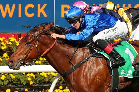 Apprentice crown for Zac would cap stellar season for Godolphin