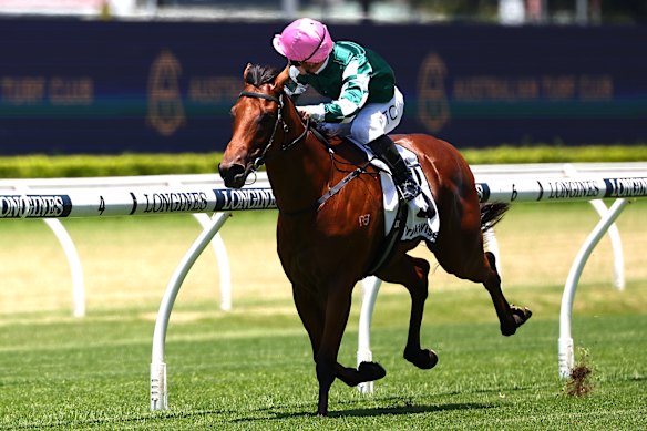 Tulloch Lodge two-year-old charges straight into Magic Millions favouritism