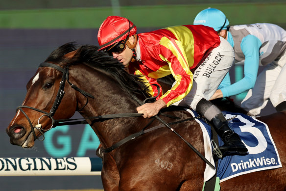 Scone races Friday tips and full preview