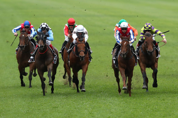 Racing 2023: Bella Nipotina’s Giga Kick Stakes win at Rosehill more ...