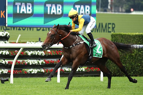 Freedman's hopes are flying high with a wet track forecast at Rosehill ...