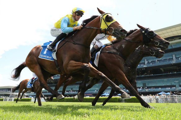 Race-by-race preview and tips for Coonamble on Sunday