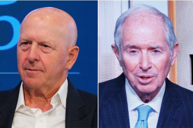 How David Solomon and Stephen Schwarzman see Donald Trump and his agenda