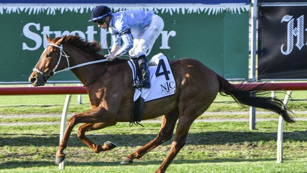 Saturday Randwick racing: Chris Waller does his bit as favourite ...