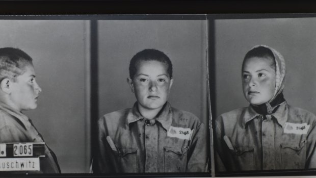 Auschwitz survivor went through five camps