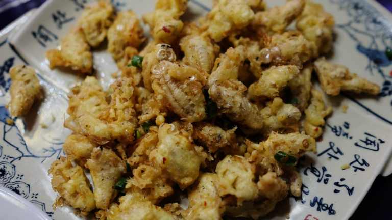 My day in a Chinese cockroach factory