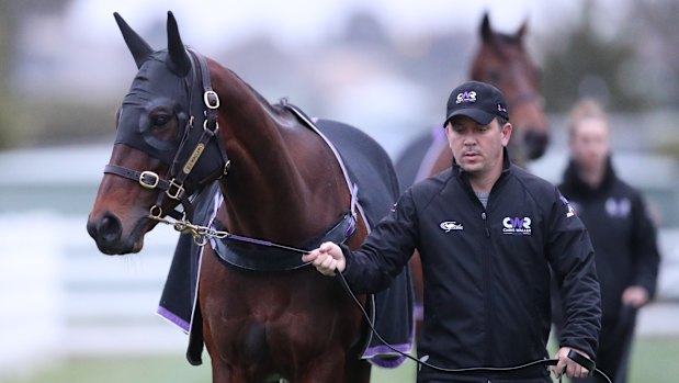 'It will take a champion to beat her': Winx shines ahead of Turnbull Stakes