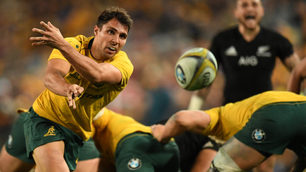 Warringah coach welcomes challenge of Wallabies players in Shute Shield ...