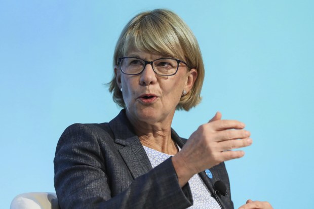 Coca-Cola Amatil’s Alison Watkins says ‘sensible’ proxy changes will ...