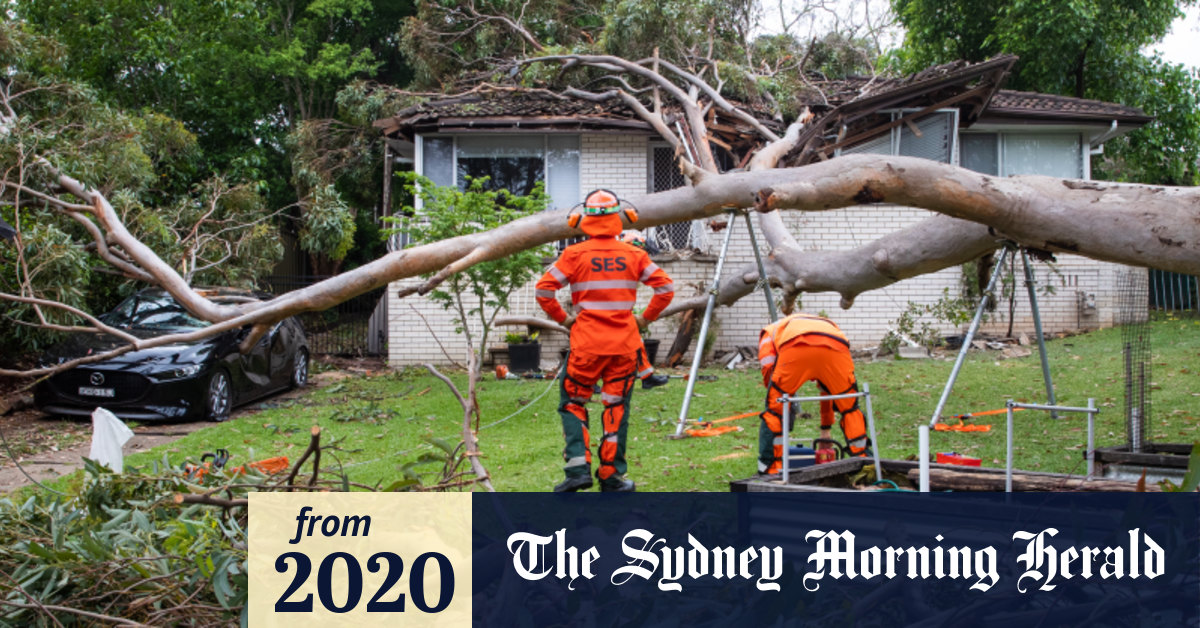 The Sydney suburbs hit hardest by storm damage