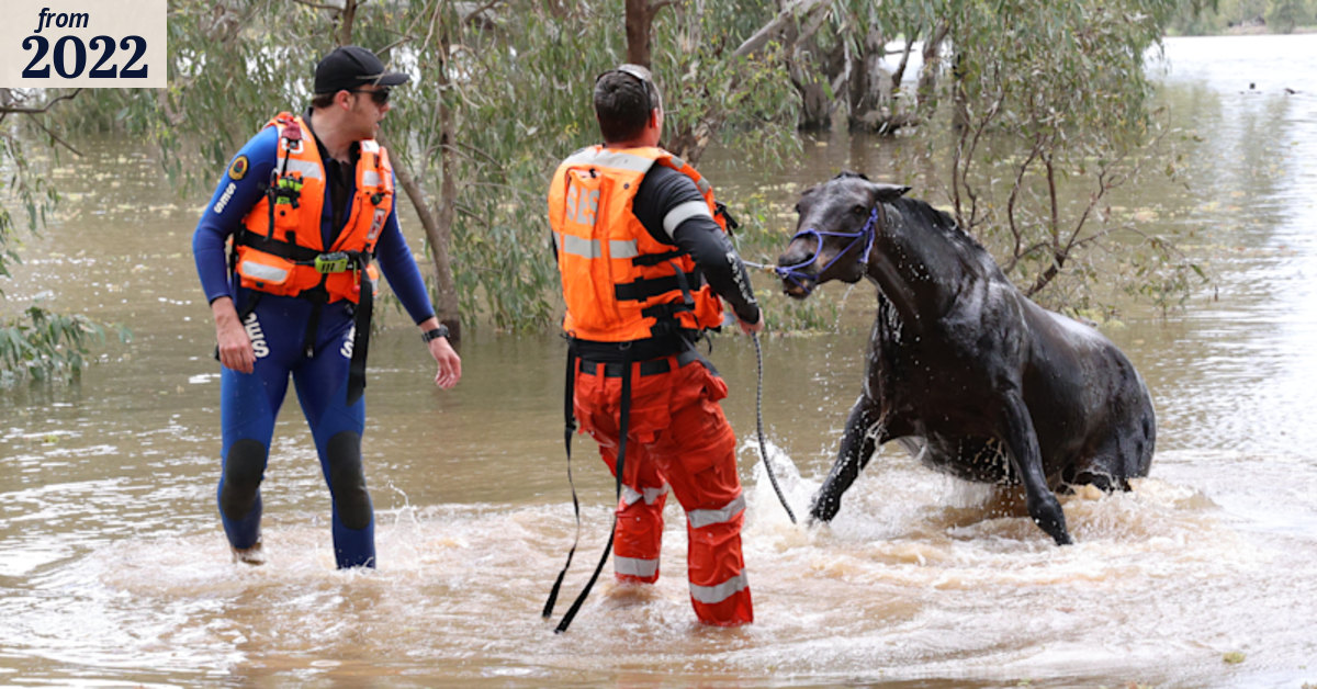 NSW floods: Forbes flooding risk despite clear blue skies
