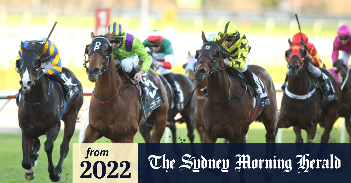 Tamworth races Tuesday tips and full preview