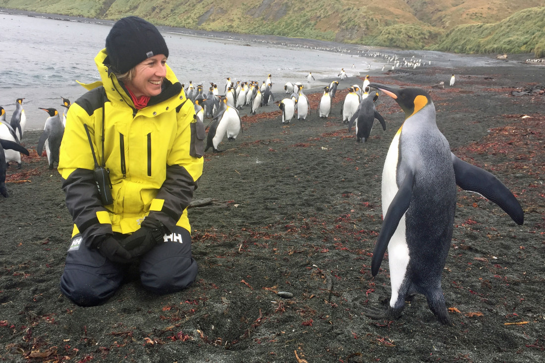 Wildlife experts nominate their top remote cruise experiences for 2024