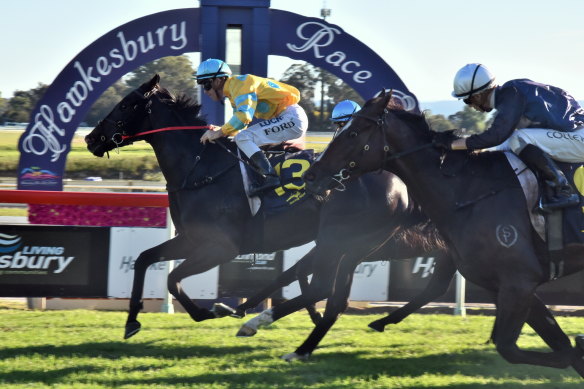 Hawkesbury races Tuesday tips and full preview
