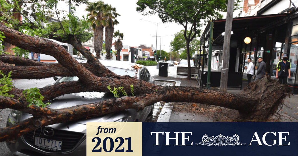 Victoria weather: Power outages, fallen trees after storm lashes state