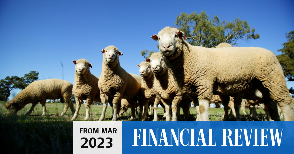 Australia live export: Sheep farmers to fight export ban from Anthony ...