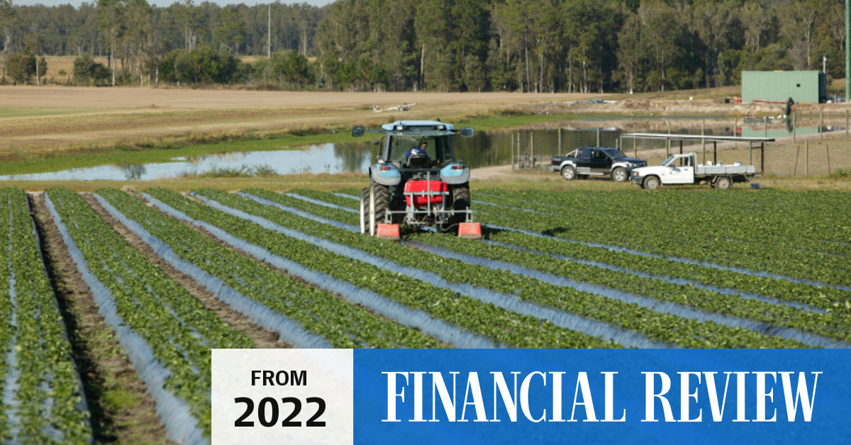 Delta Ag farms in UBS for investor search