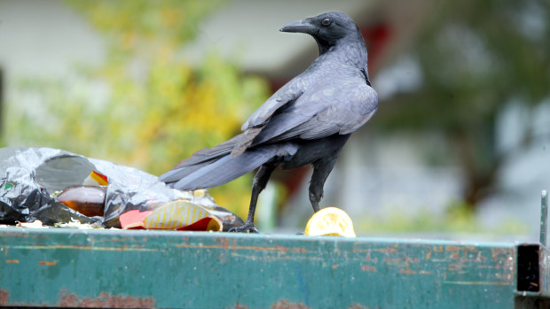 PEP closes in on regional NSW waste biz JR Richards