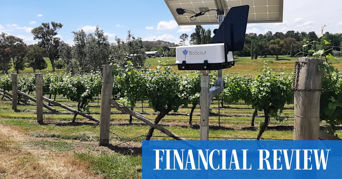 BioScout is a finalist in the AFR 2025 AI Awards in the Sustainability category