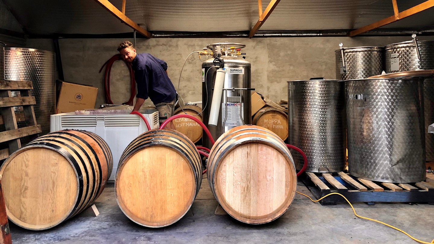 What a lifetime immersed in the Barossa taught Agricola Vintners ...