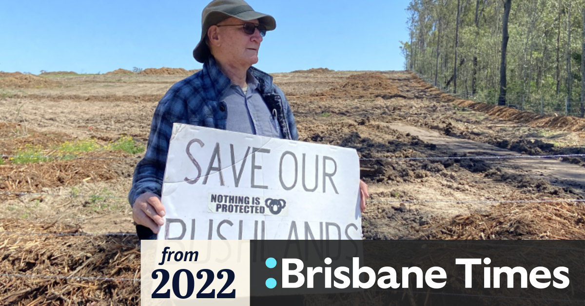 Qld environment minister powerless to object to land clearing in ...