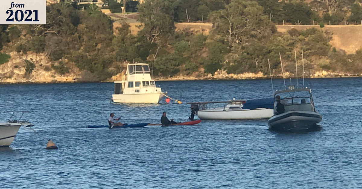 Swan River bull shark attack victim suffered broken hip in ordeal