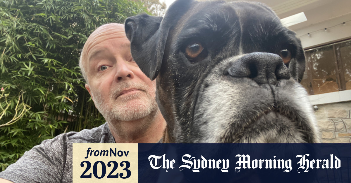 When a dog dies, it leaves a slobbery-boxer-shaped hole in your heart