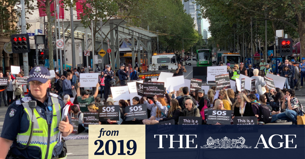 Vegan protest: Swanston, Flinders Street intersection blocked by animal ...