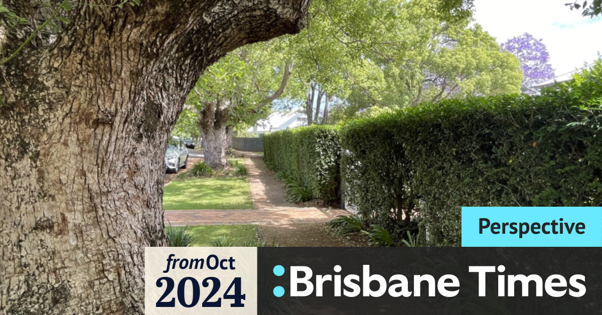 Brisbane street trees: Study reveals shady suburbs