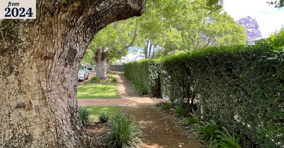 Brisbane street trees: Study reveals shady suburbs