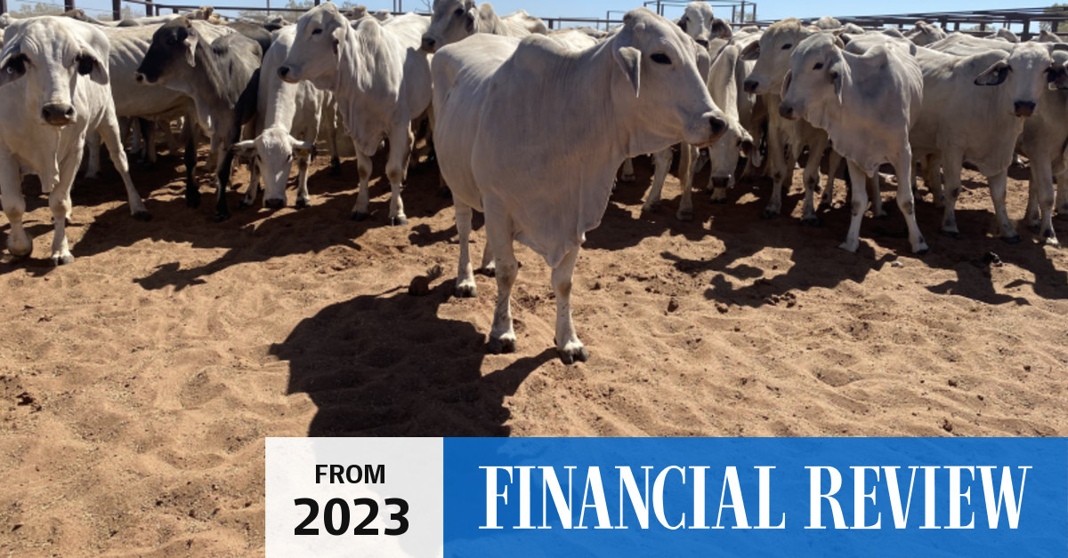 Brett Blundy, Gina Rinehart and the other rich listers behind the ...