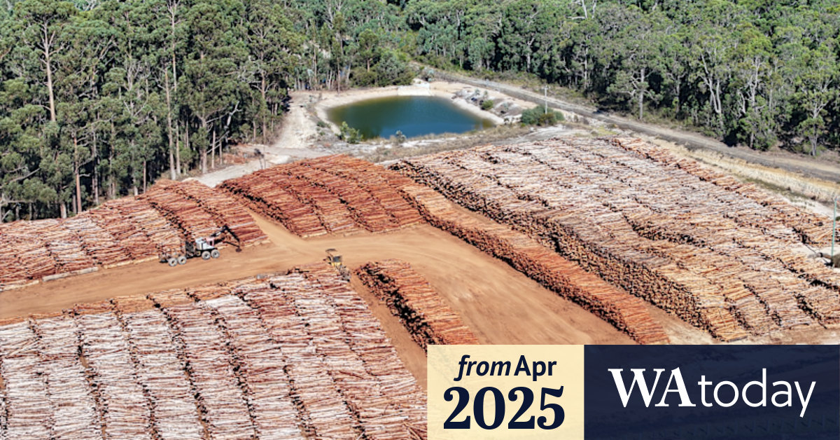 Why timber industry insiders are worried 100,000 tonnes of WA timber ...