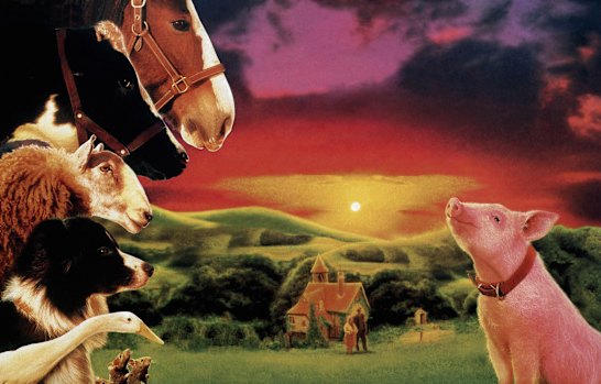 Bondiwood Film Festival: Brickie Nic Carroll turns to YouTube to become a filmmaker