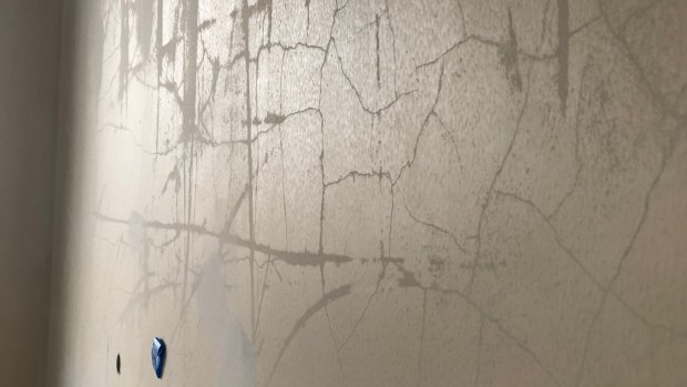 'Painful and intimidating': Dodgy plaster job turns into two year fight ...