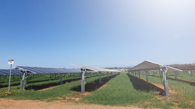 Malaysia’s Tenaga Nasional leads final shortlist of bidders for solar ...