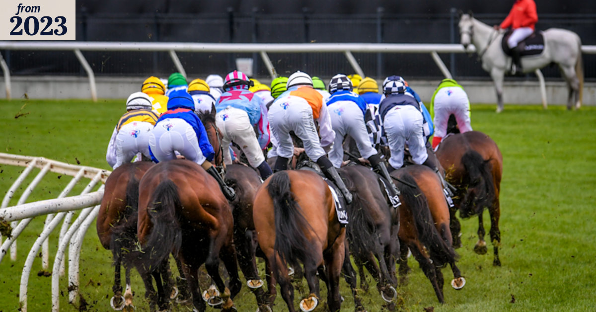 Melbourne Cup 2023: Racing Victoria stewards to send text message ...