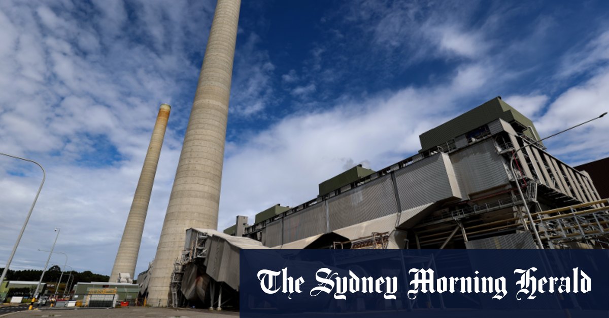 Eraring power station needed longer: Origin Energy boss