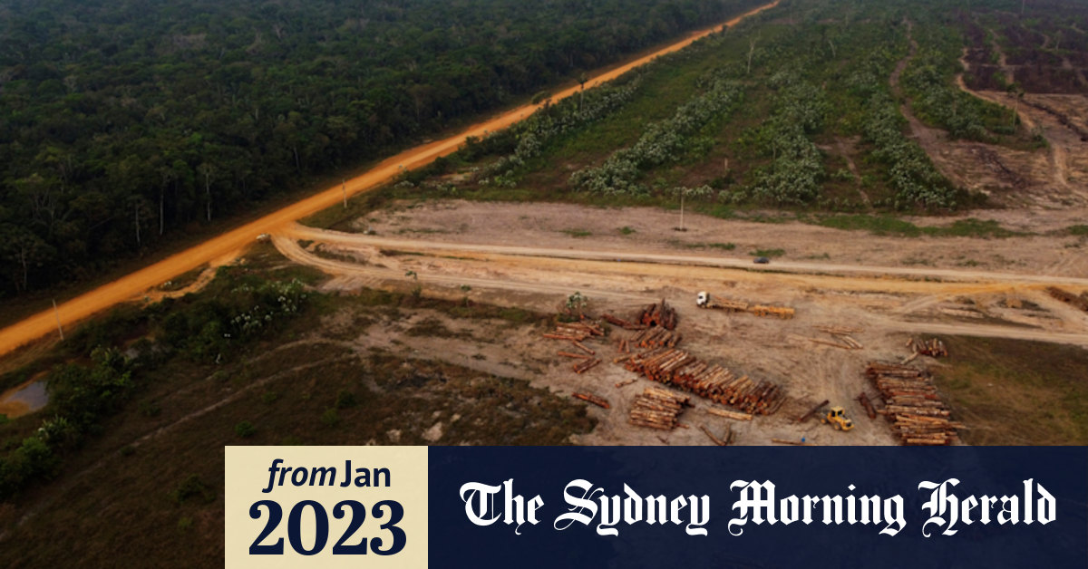 Amazon forest deteriorating too fast for world to adapt: researchers ...