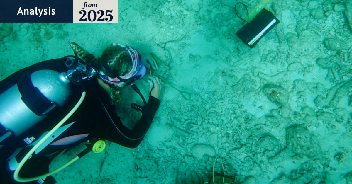 The Great Barrier Reef, the federal election and the need for rapid ...