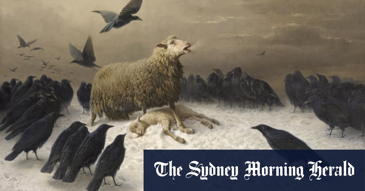 NGV Sad Sheep: Why does August Friedrich Albrecht Schenck’s famous ...