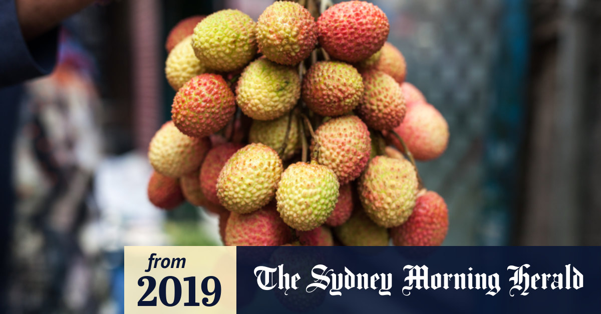 Could the lychee fruit be behind a mysterious sickness that's killed ...